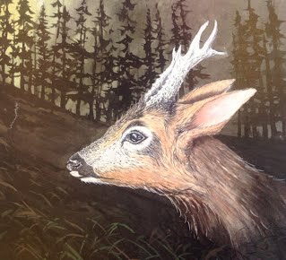 4 Roebuck – Halifax Art Society